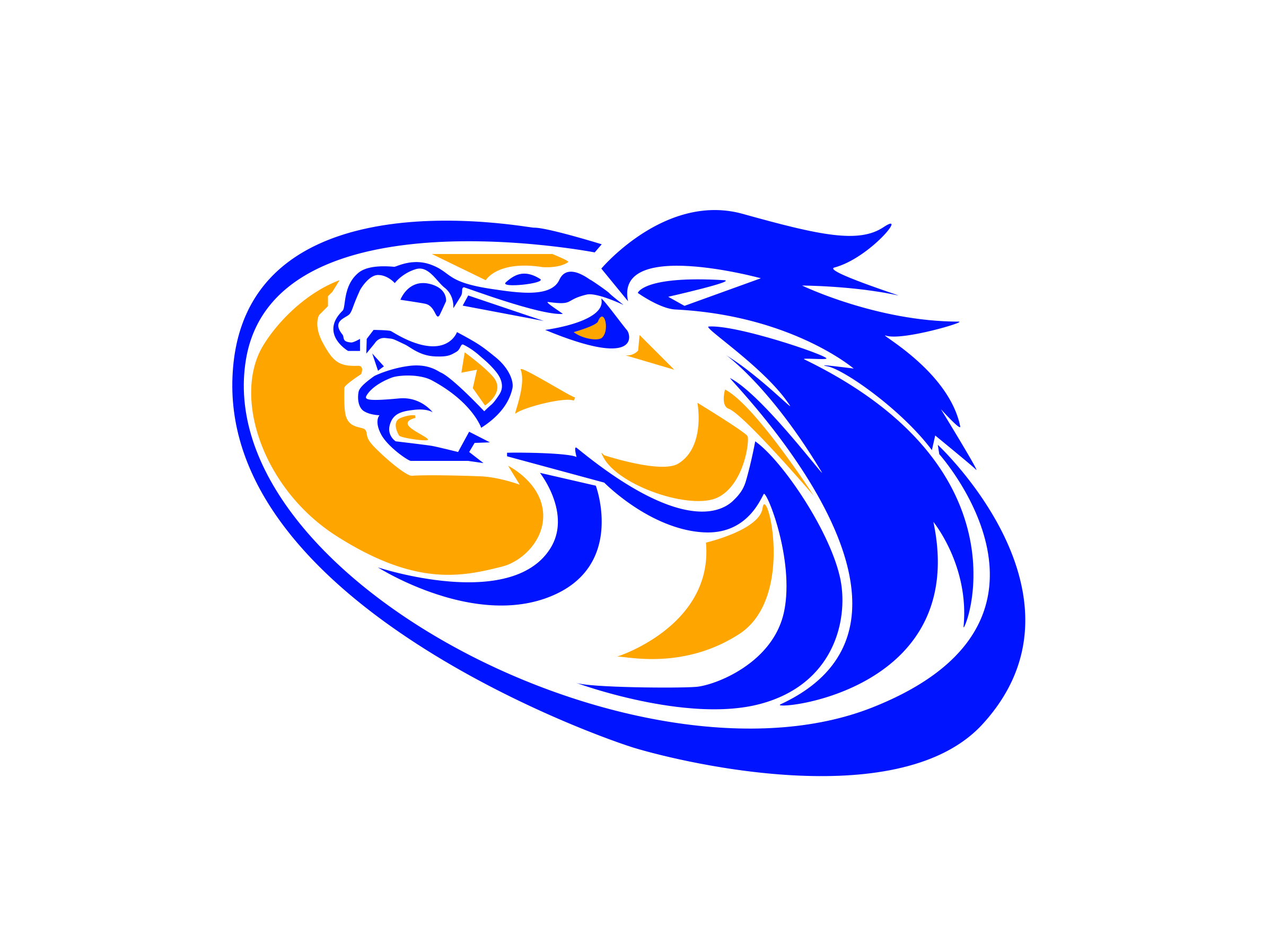 Sahuarita High School – Cactus Blossom Customs